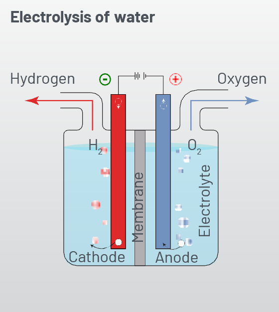 Optimization of hydrogen alkaline electrolysers with FOCUS-1 - focus-on ...